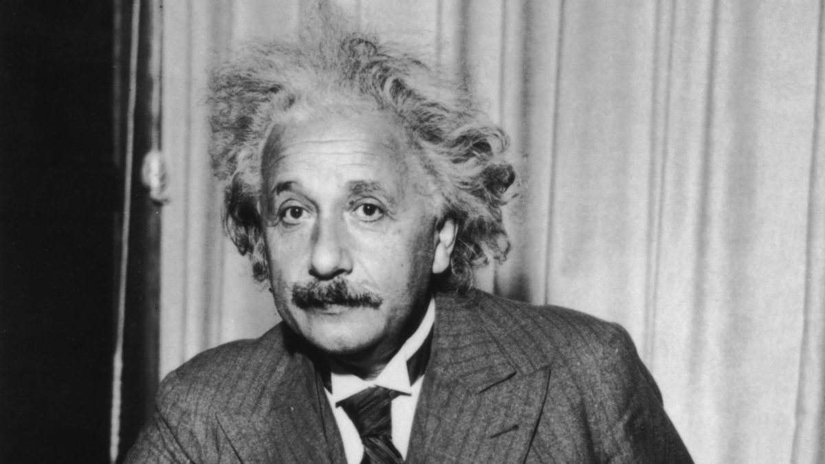 Who is Albert Einstein? Net Worth Age and wiki - BiographyNinja