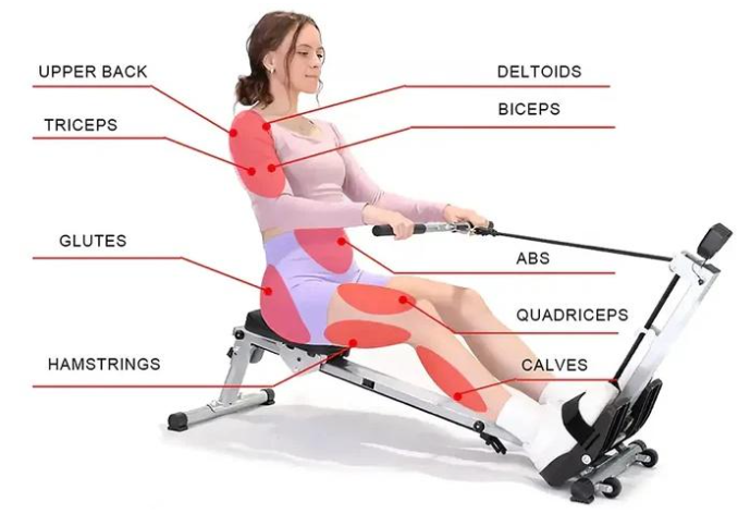 Can rowing be my only exercise? - BiographyNinja